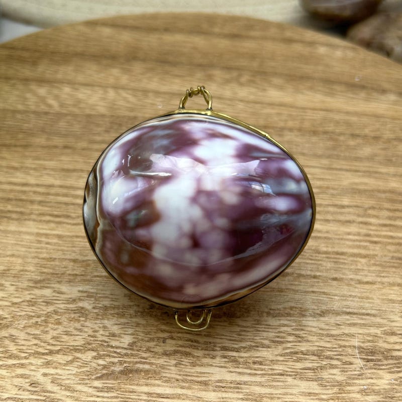 Shell Pill Box - Etsy