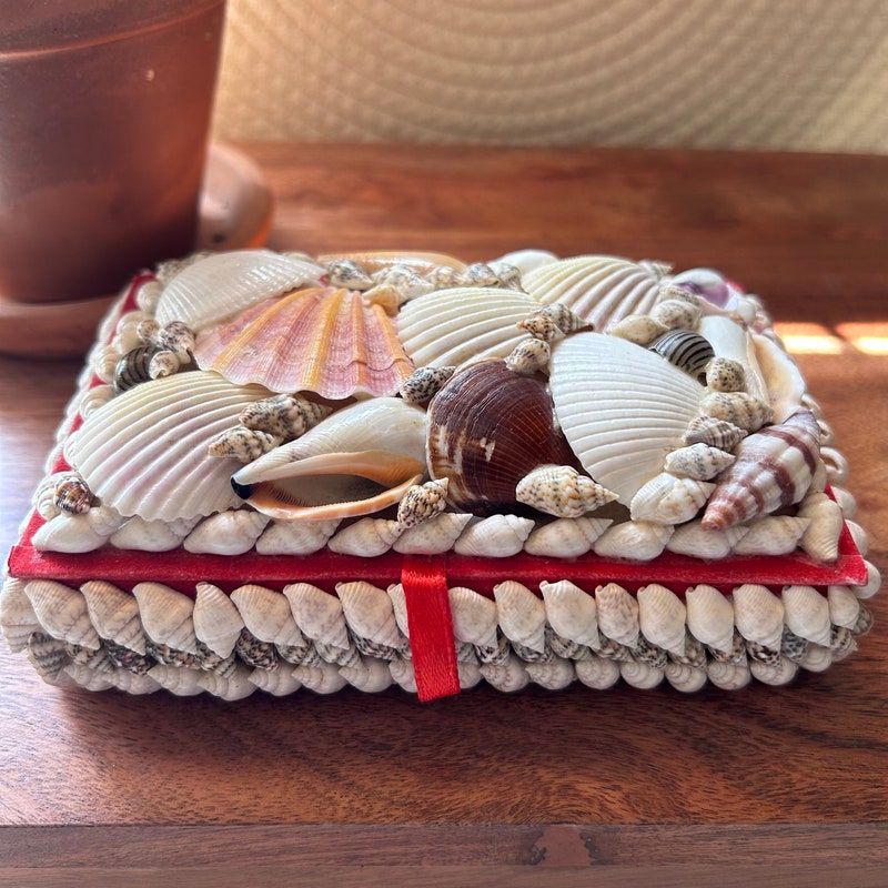 Seashell Jewelry Box - Etsy