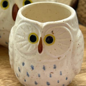 Vintage Japanese Kotobuki Snow Owl Tea Set Teapot and 2 Tea Cups - Etsy