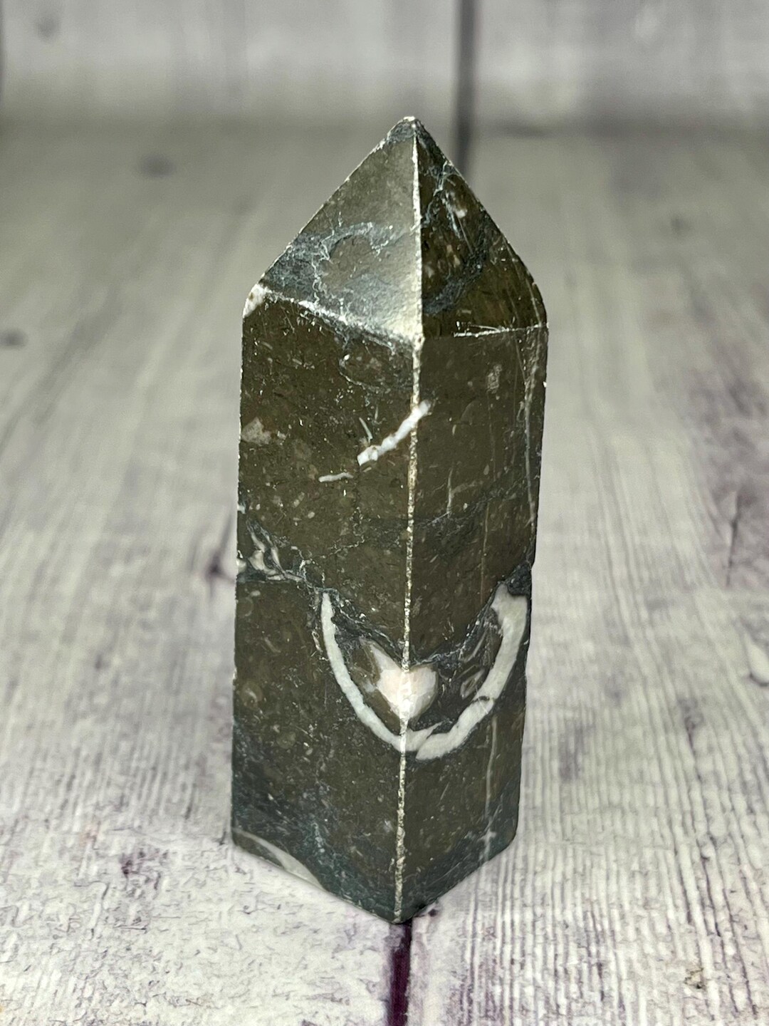 Shell Jasper Tower, Gray, White - Etsy