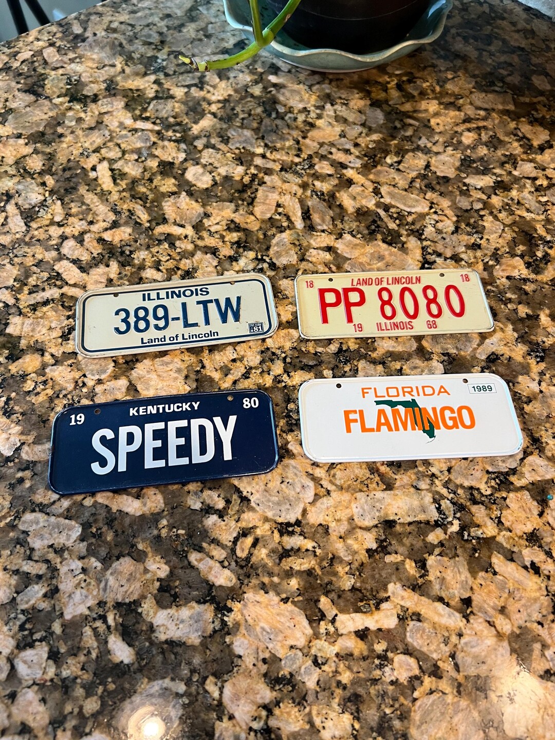 Mini Bicycle License Plates - Etsy