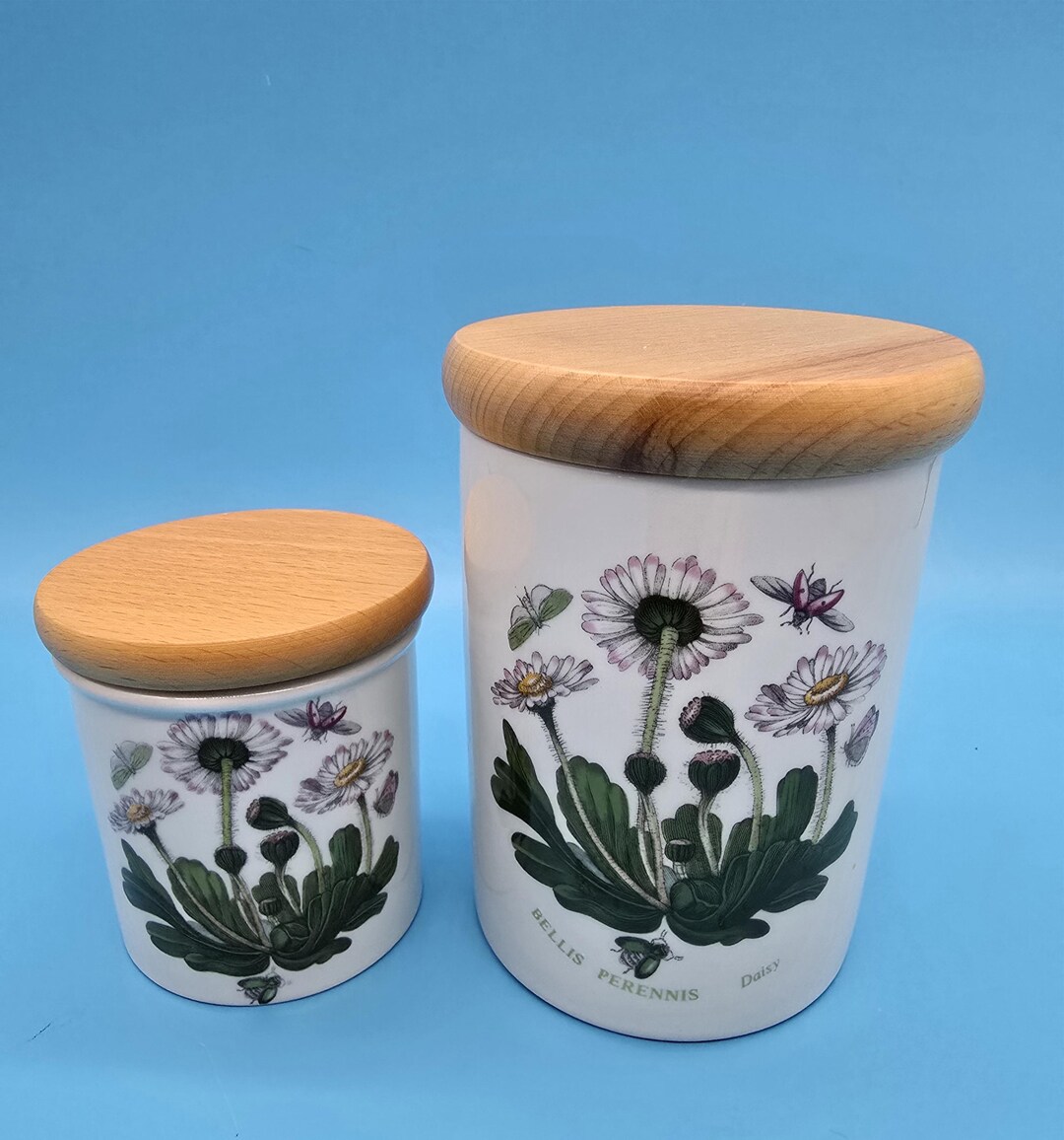 Vintage Portmeirion Botanic Garden Daisy Canisters Storage Containers ...