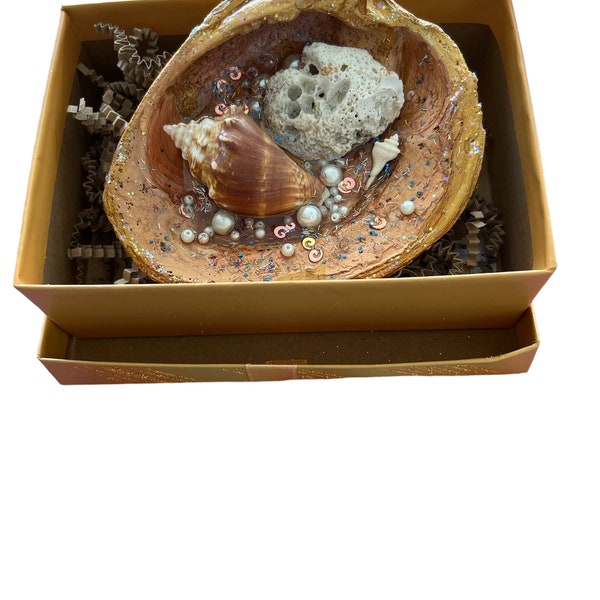 Sanibel Island Shell Art - Etsy