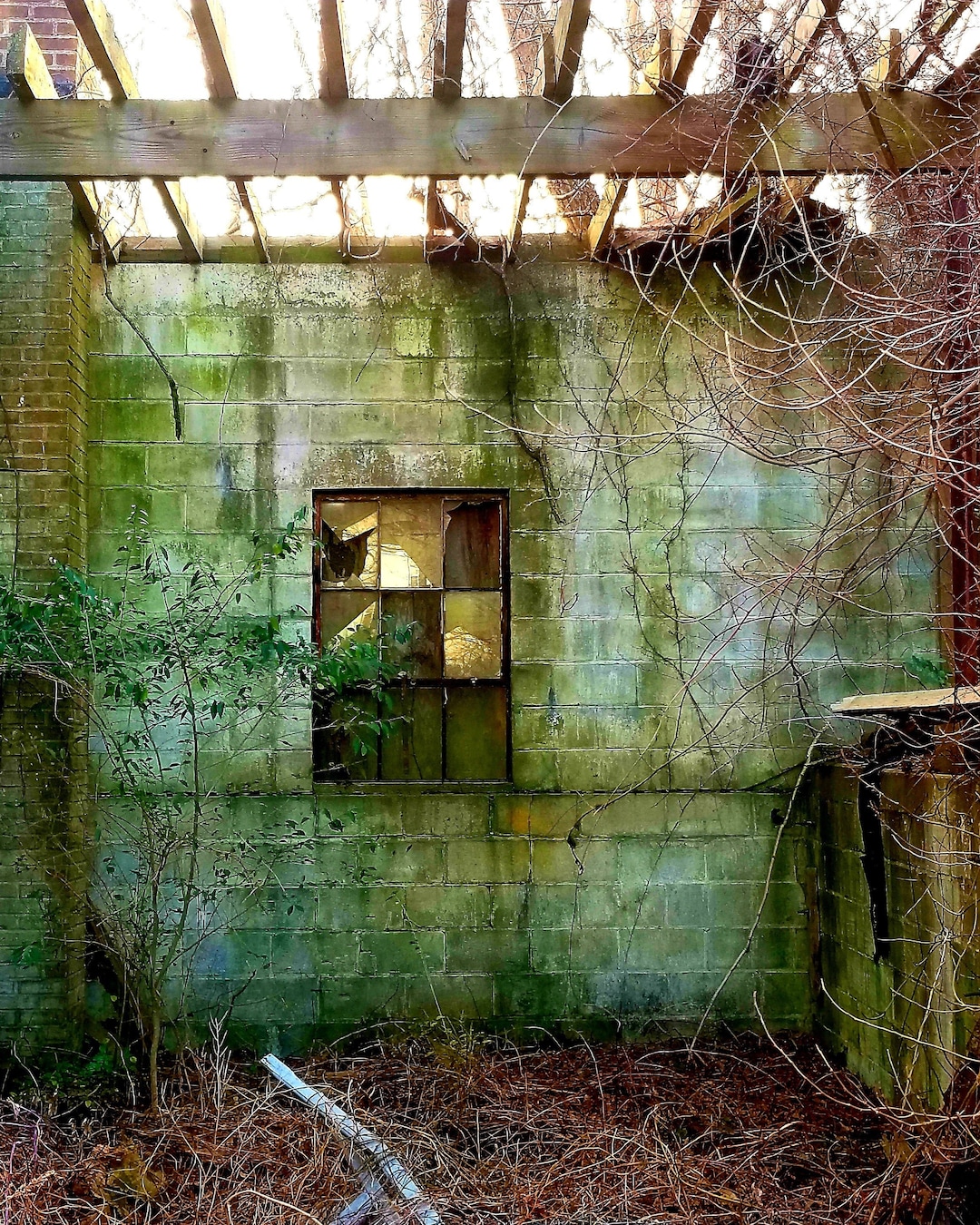 Outside Looking In - Etsy