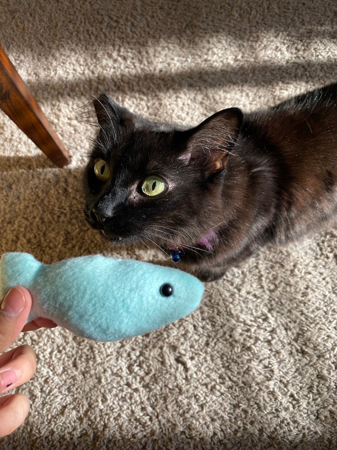 Plush Fish Cat Toy With Catnip - Etsy