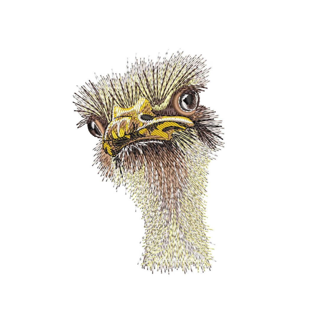 Ostrich Machine Embroidery Designs Ostrich Embroidery Files - Etsy ...