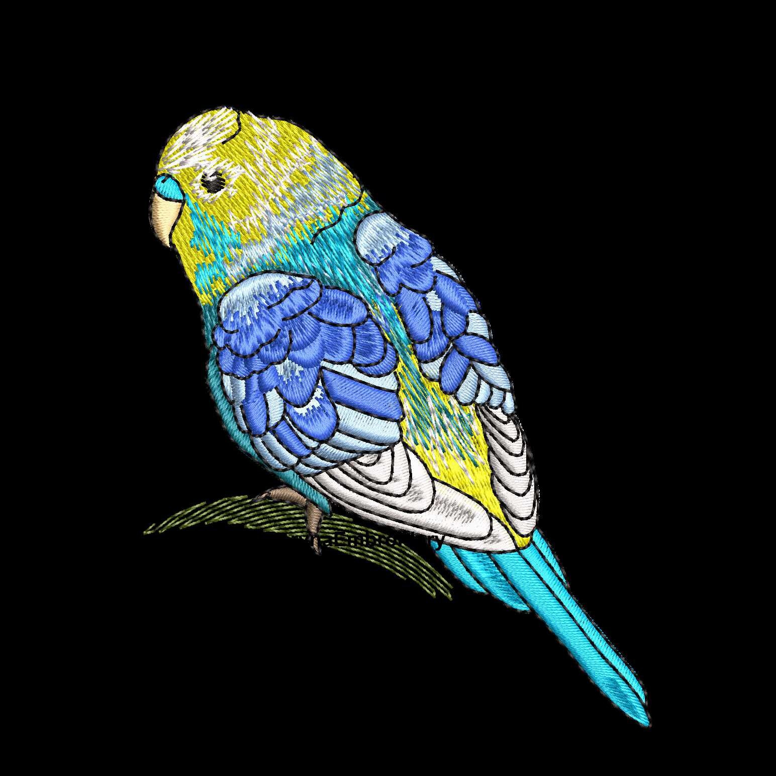 Birds Embroidery Designs for Machine Budgie Parakeet | Etsy