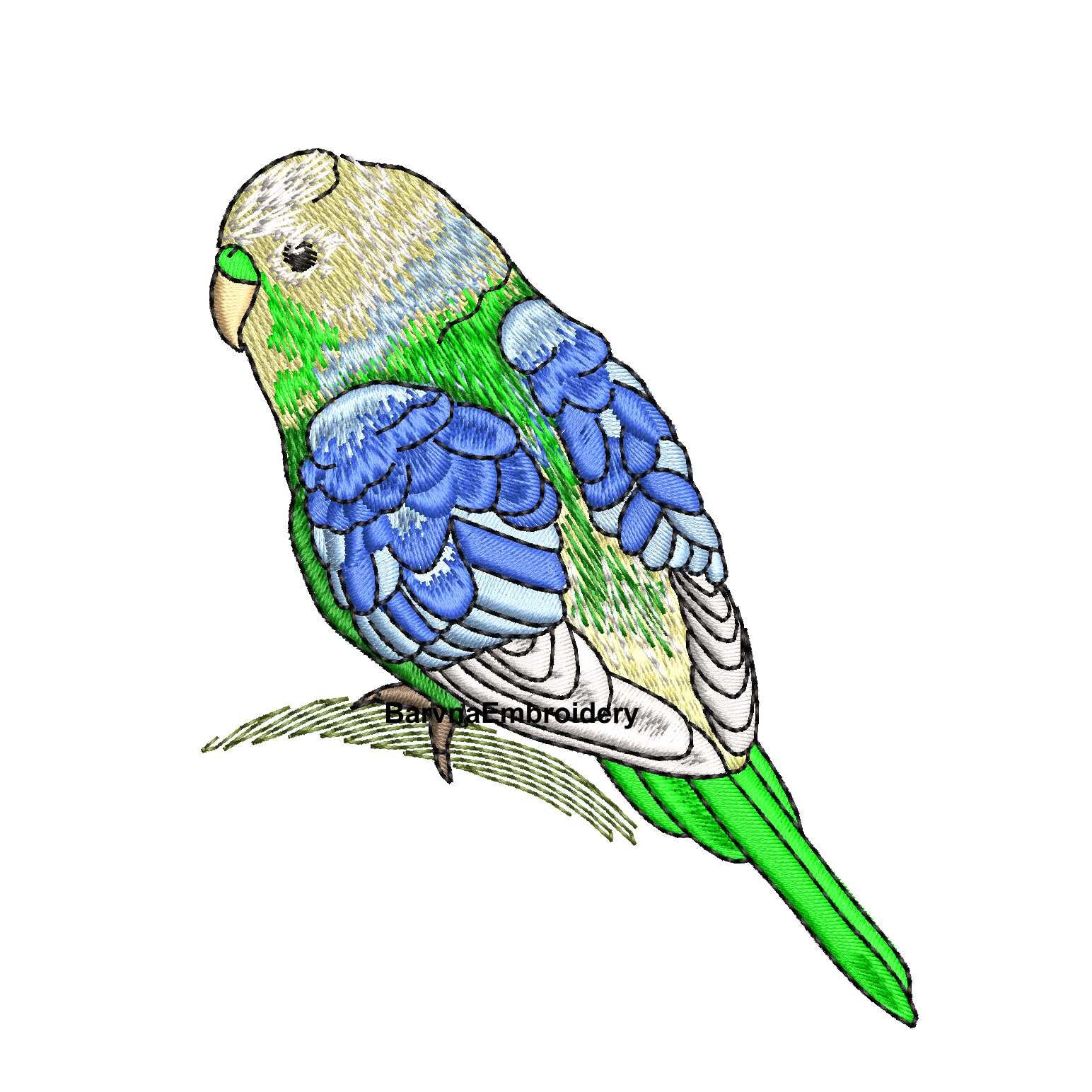 Birds Embroidery Designs for Machine Budgie Parakeet | Etsy