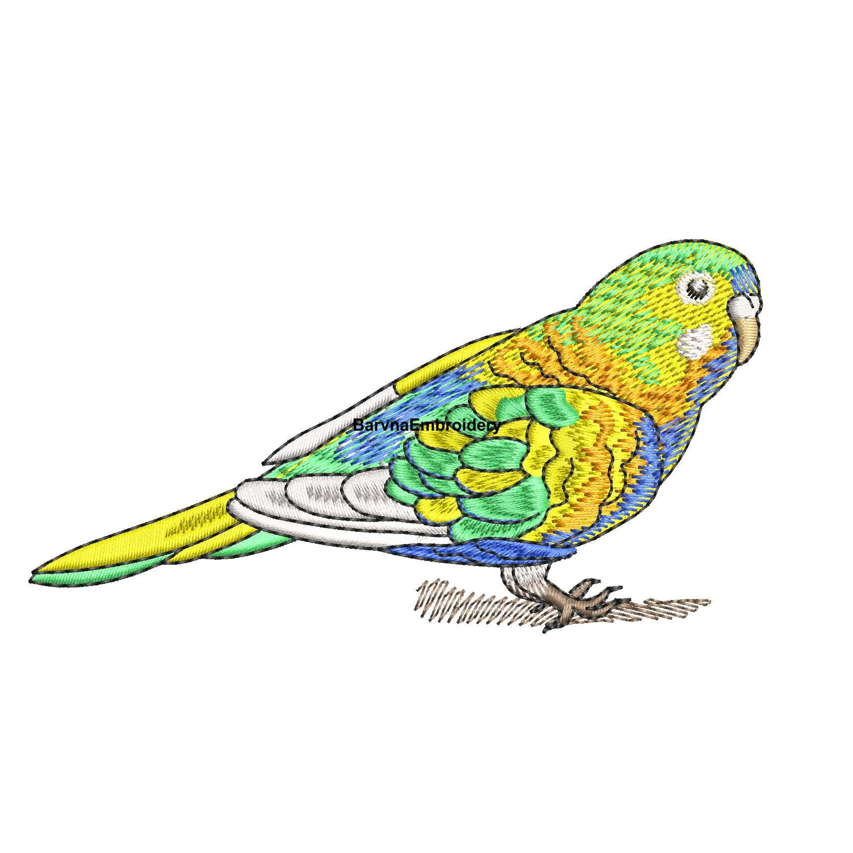 Birds Embroidery Designs for Machine Budgie Parakeet | Etsy