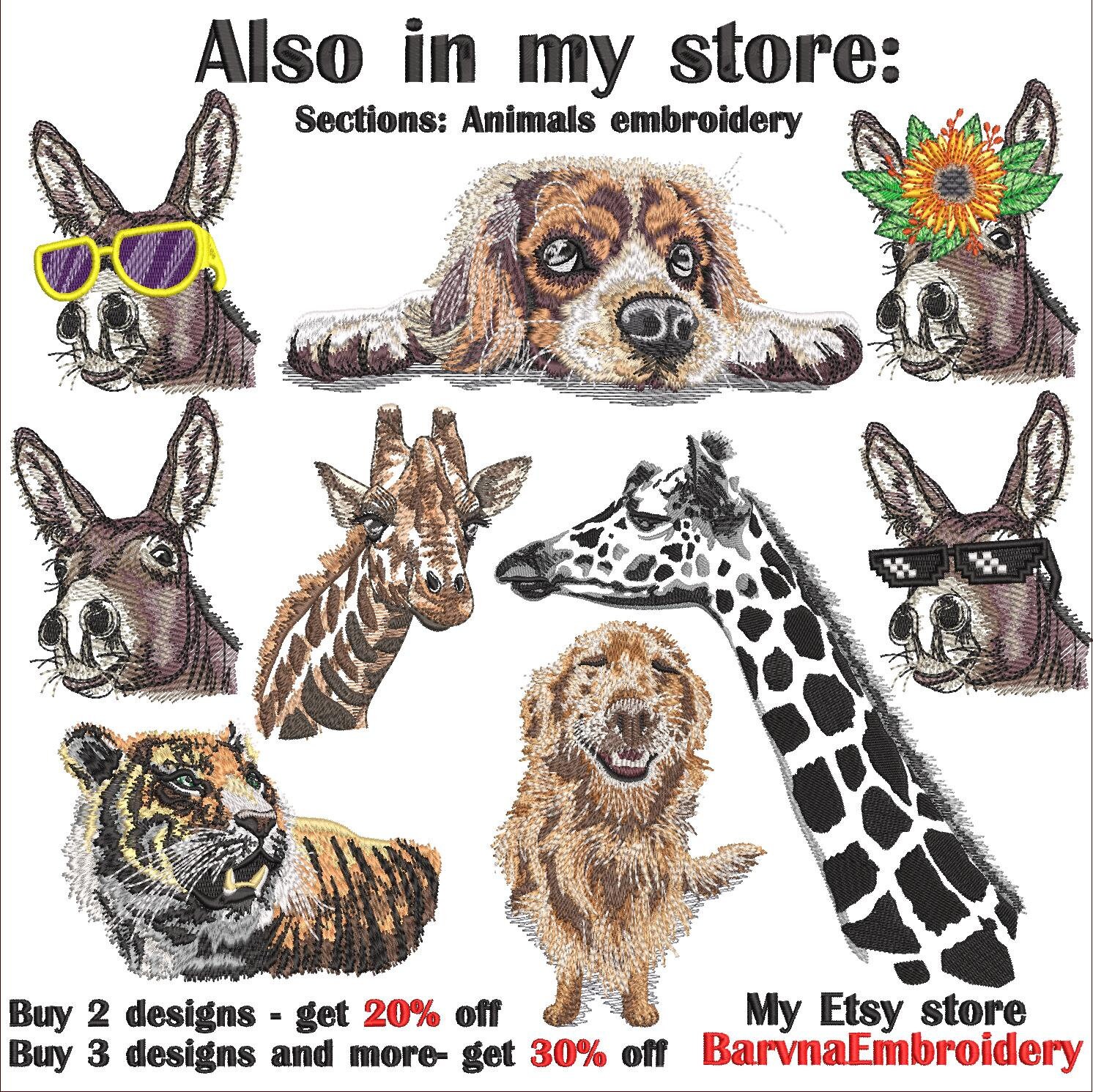 Bunny Machine Embroidery Designs Bunny Embroidery Files - Etsy