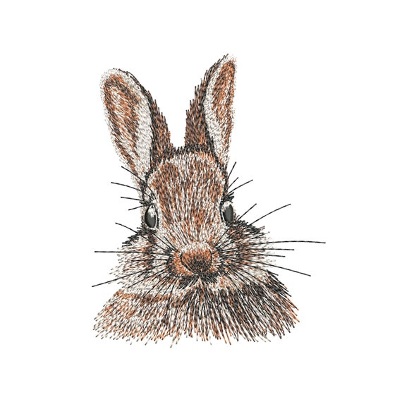 Bunny Machine embroidery designs Animals embroidery | Etsy