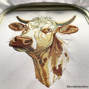 Cow Machine Embroidery Designs, Cow Embroidery Files, Instant Download ...