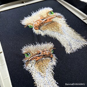 Ostrich Machine Embroidery Designs, Ostrich Embroidery Files, Instant ...
