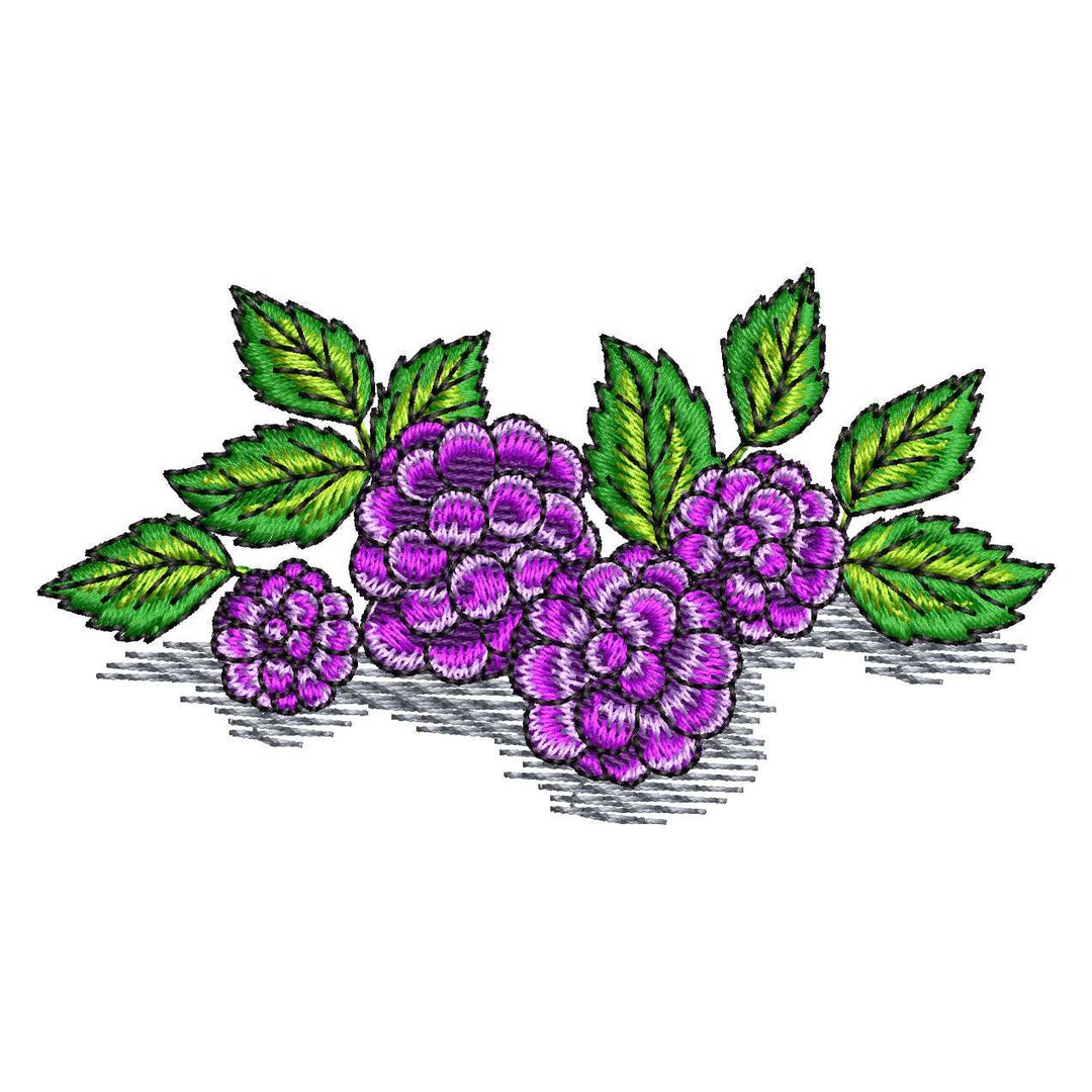 Blackberry Embroidery Designs for Machine Fruits Embroidery - Etsy