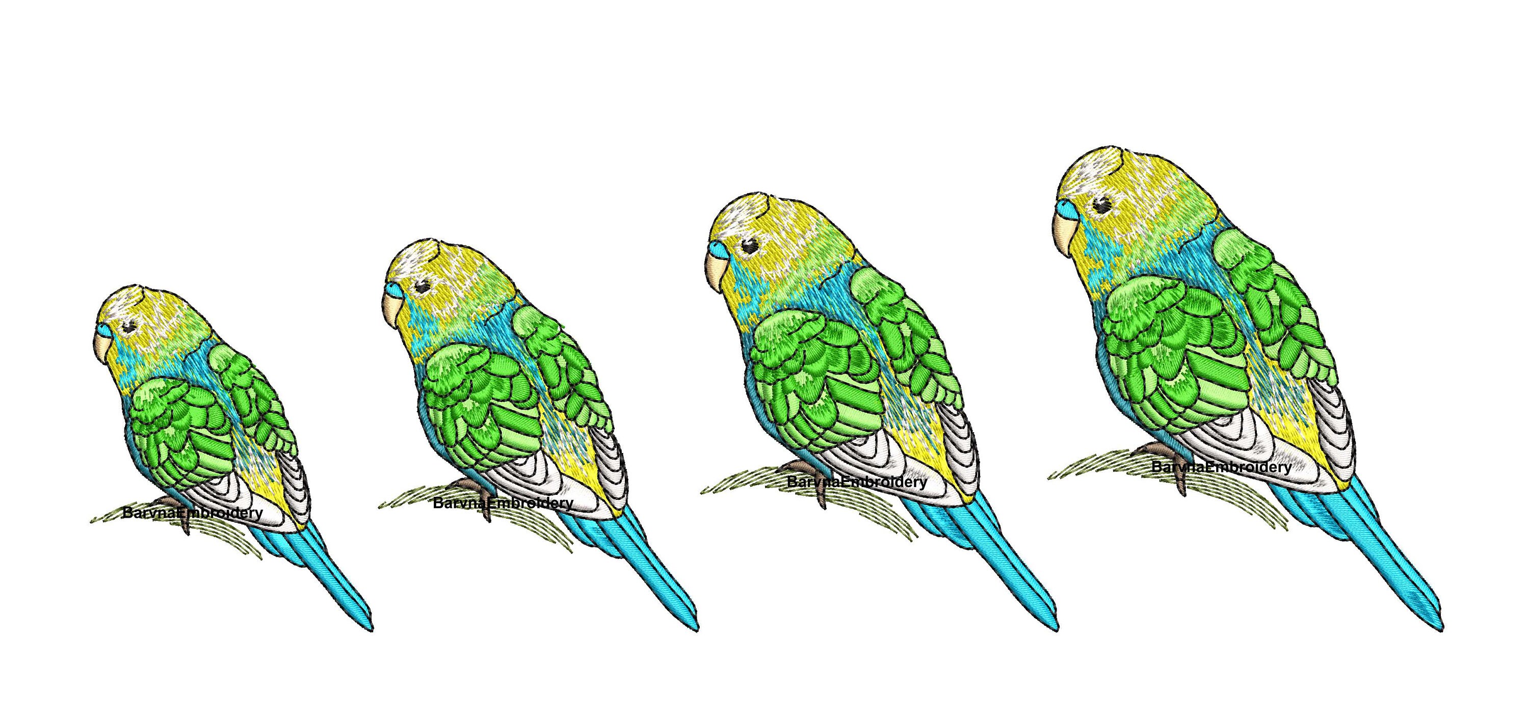 Birds Embroidery Designs for Machine Budgie Parakeet | Etsy