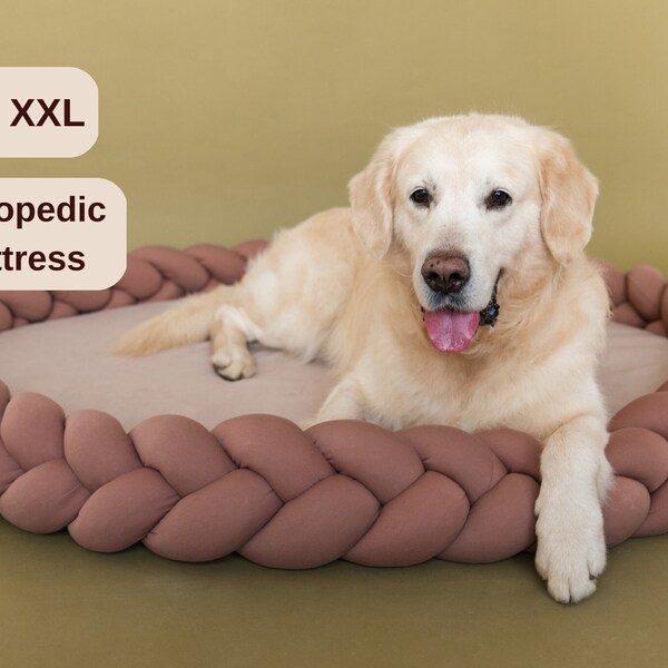 Cute Dog Bed - Etsy