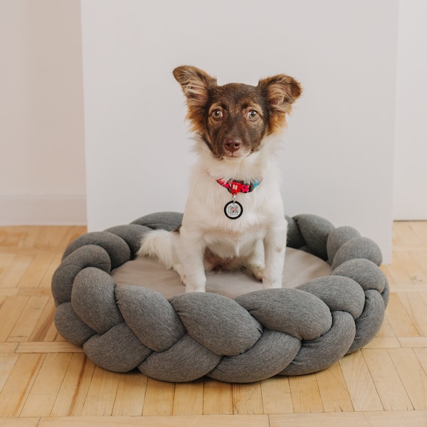Cute Dog Bed - Etsy