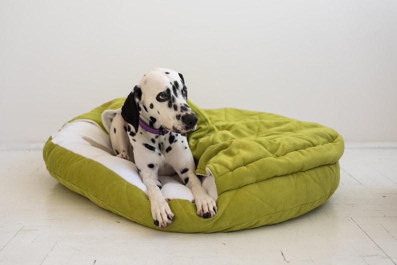 Super Soft Dog Bed With Hood Personalized Large Dog Furniture - Etsy