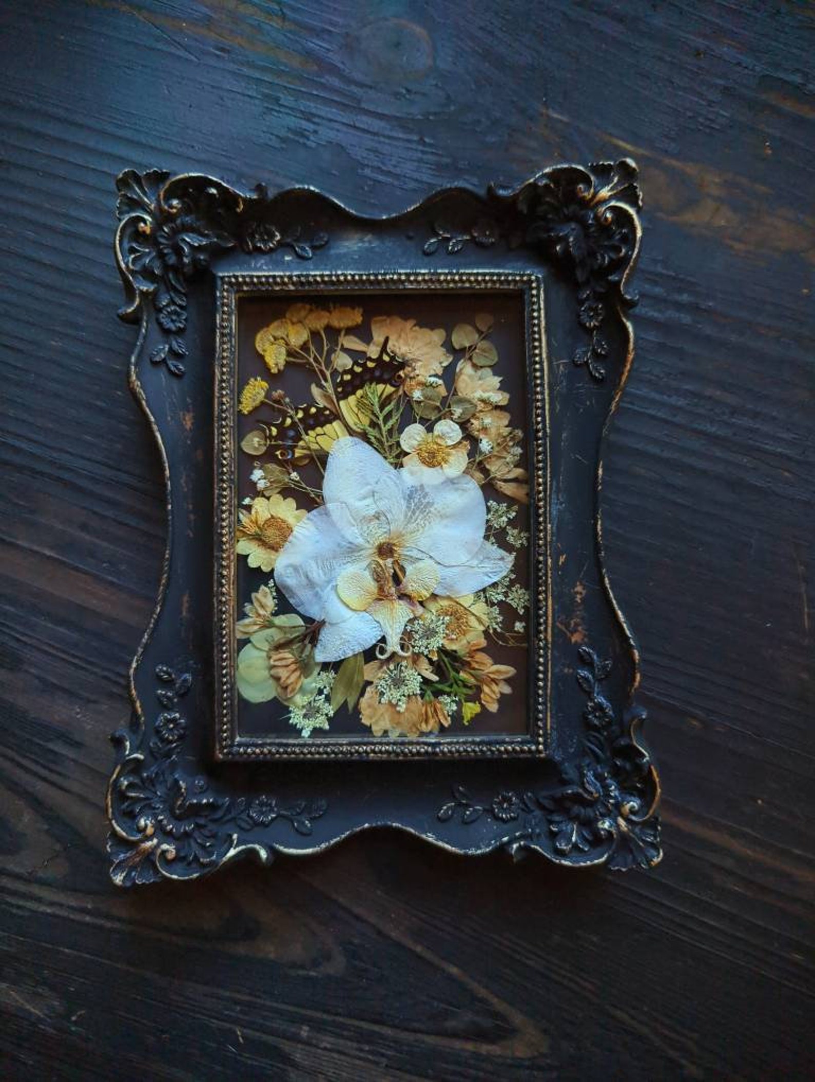Pressed REAL Orchids Floral Framed Art an Enchanting Piece - Etsy