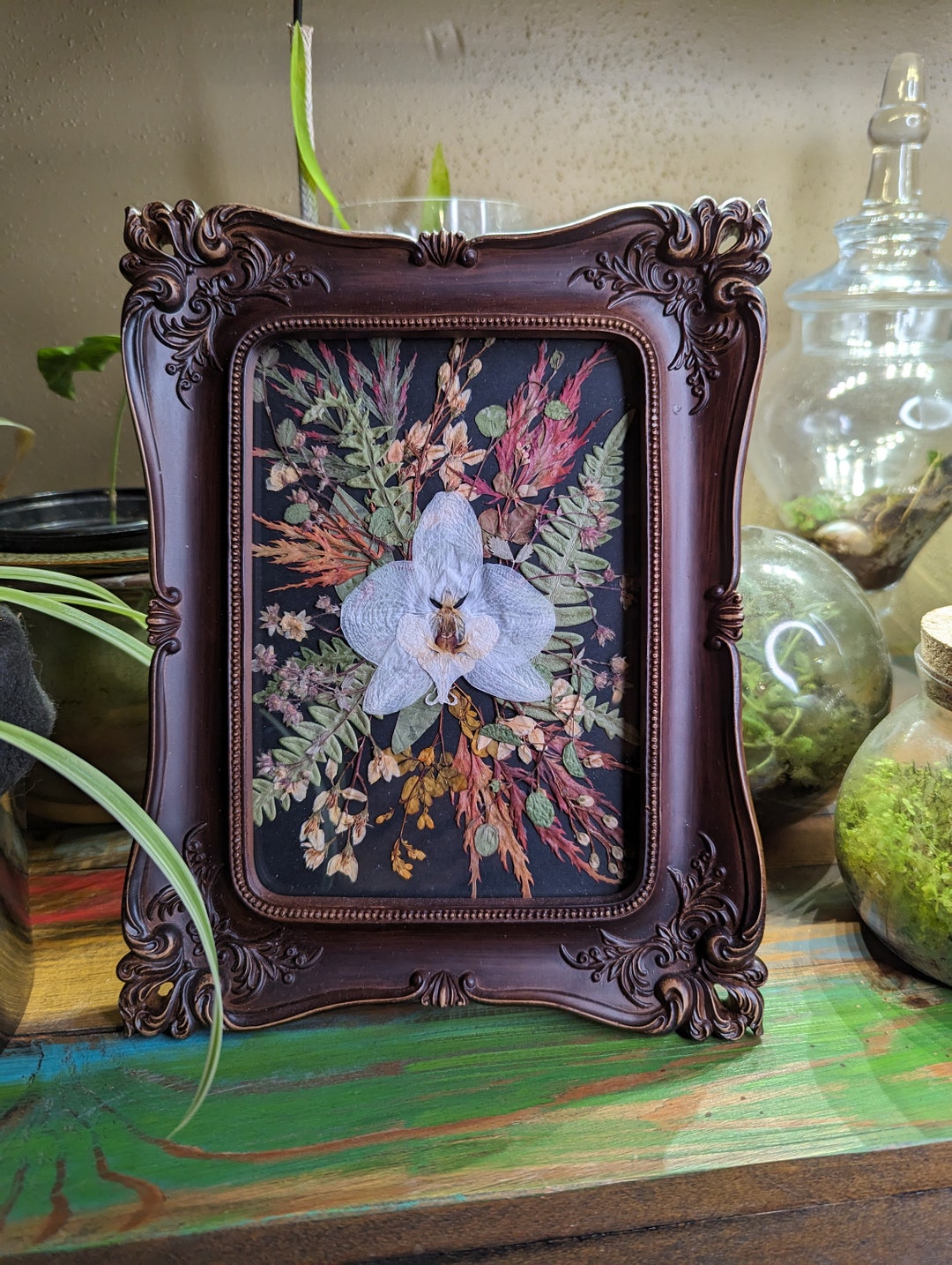 Pressed REAL Orchids Floral Framed Art an Enchanting Piece for Your ...