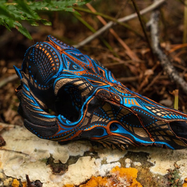 Painted Animal Skull - Etsy