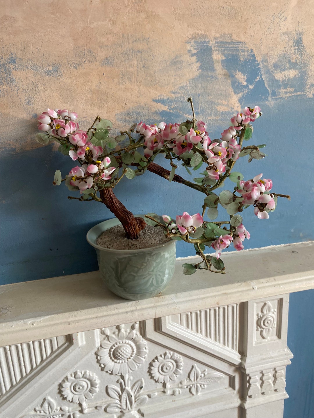 Vintage Jade Tree Bonsai - Etsy UK