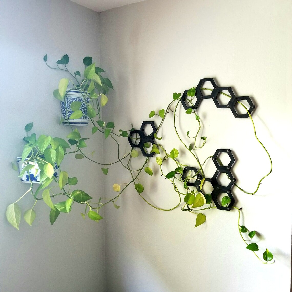 Hexagonal Wall Trellis - Etsy