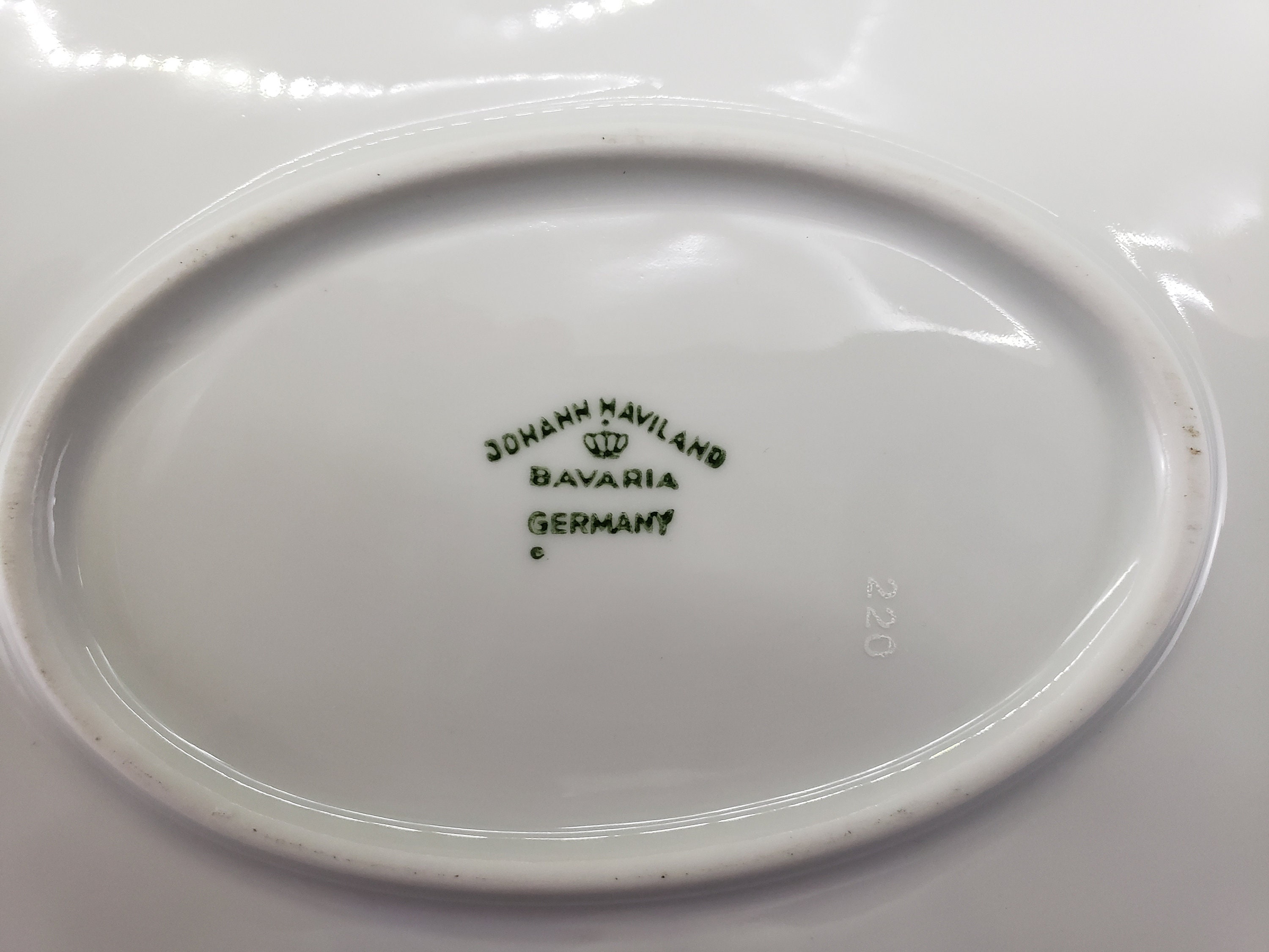 Johann Haviland Bavaria Germany Floral Forever Spring Pattern - Etsy
