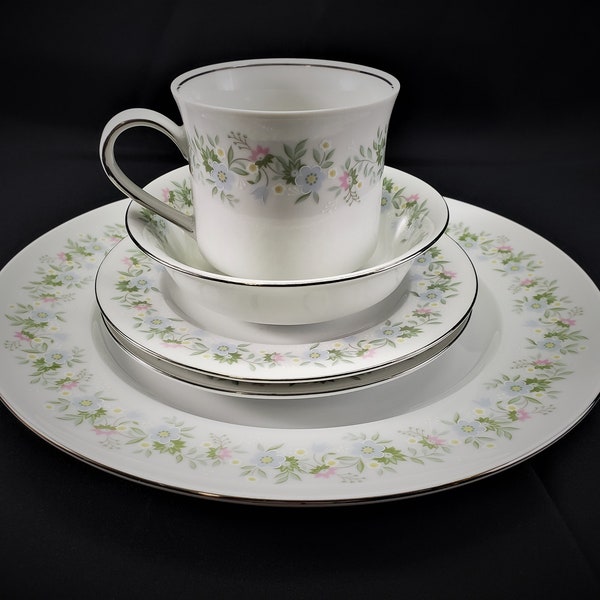 Johann Haviland Forever Spring China - Etsy