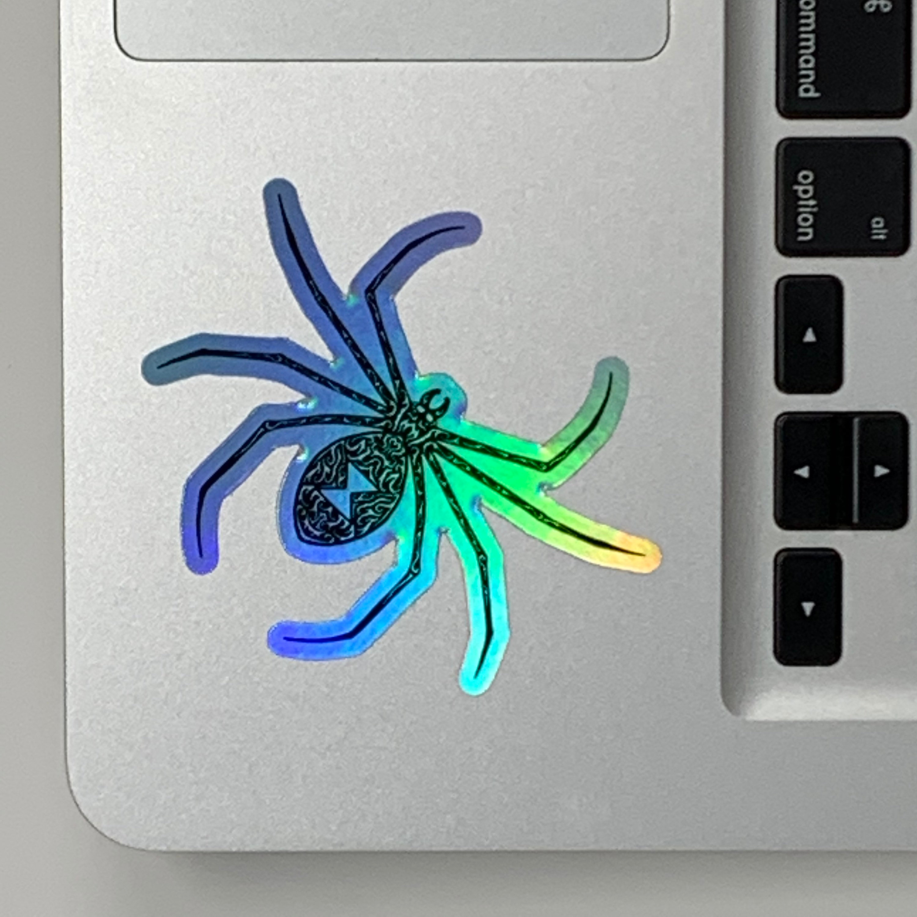HOLOGRAPHIC Spider Waterproof Sticker Spider Laptop Sticker Spider ...