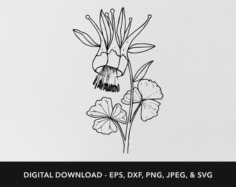 Columbine Flower Svg - Etsy