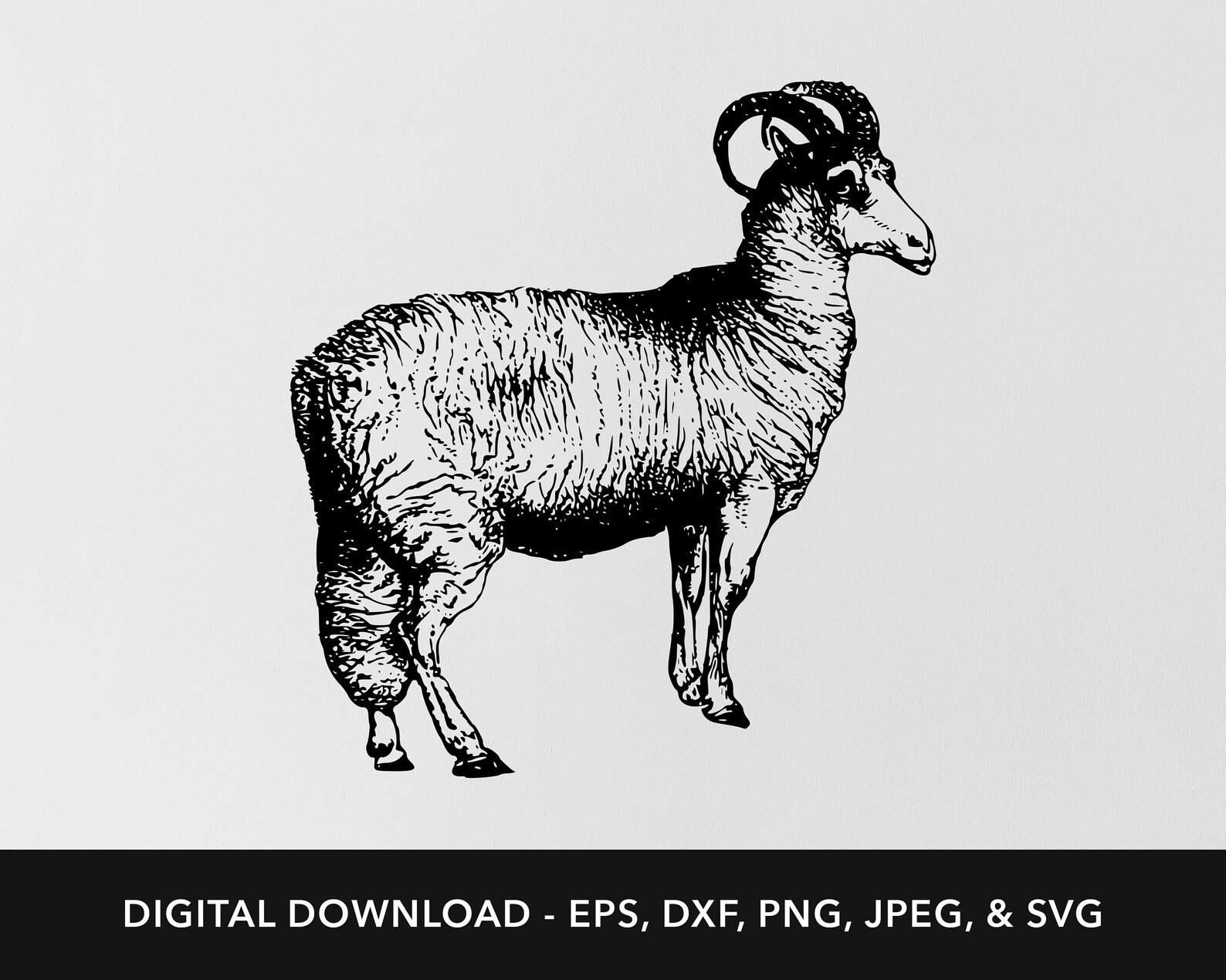 Sheep Svg Sheep Dxf Sheep Png Sheep Eps Sheep Vector - Etsy
