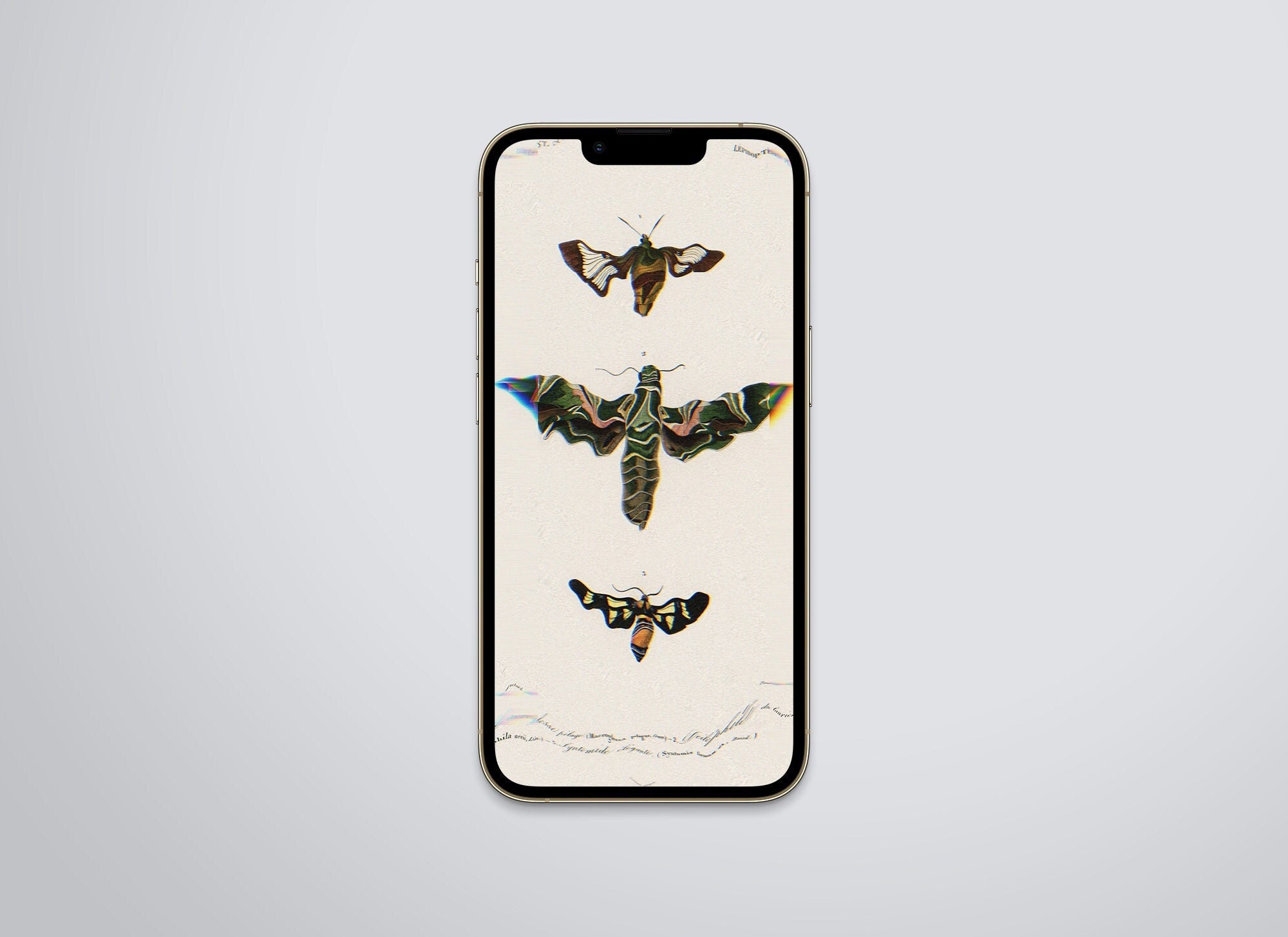 Drawing & Illustration Art & Collectibles Trippy Moth iPhone Wallpaper ...