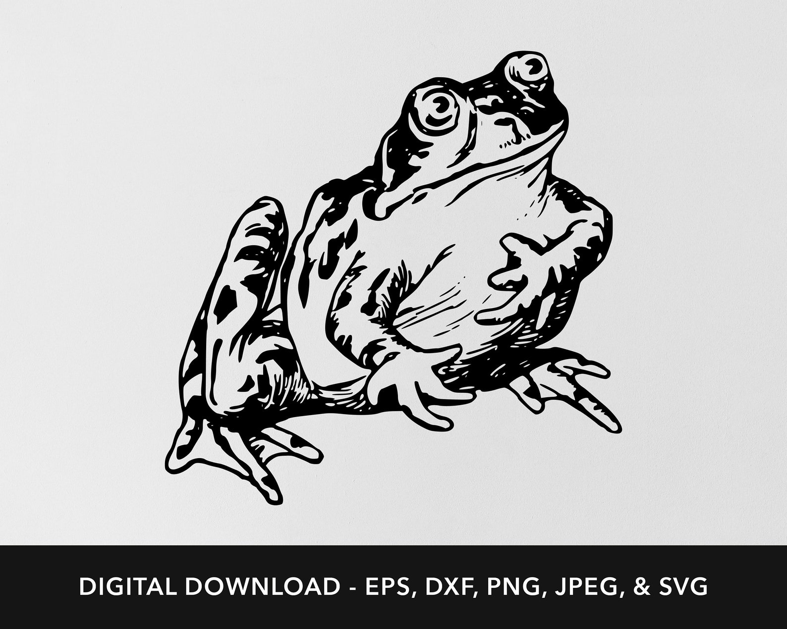 Toad Svg Amphibian Svg Toad Vintage Animal Illustration - Etsy