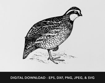 Quail Hunting Png - Etsy