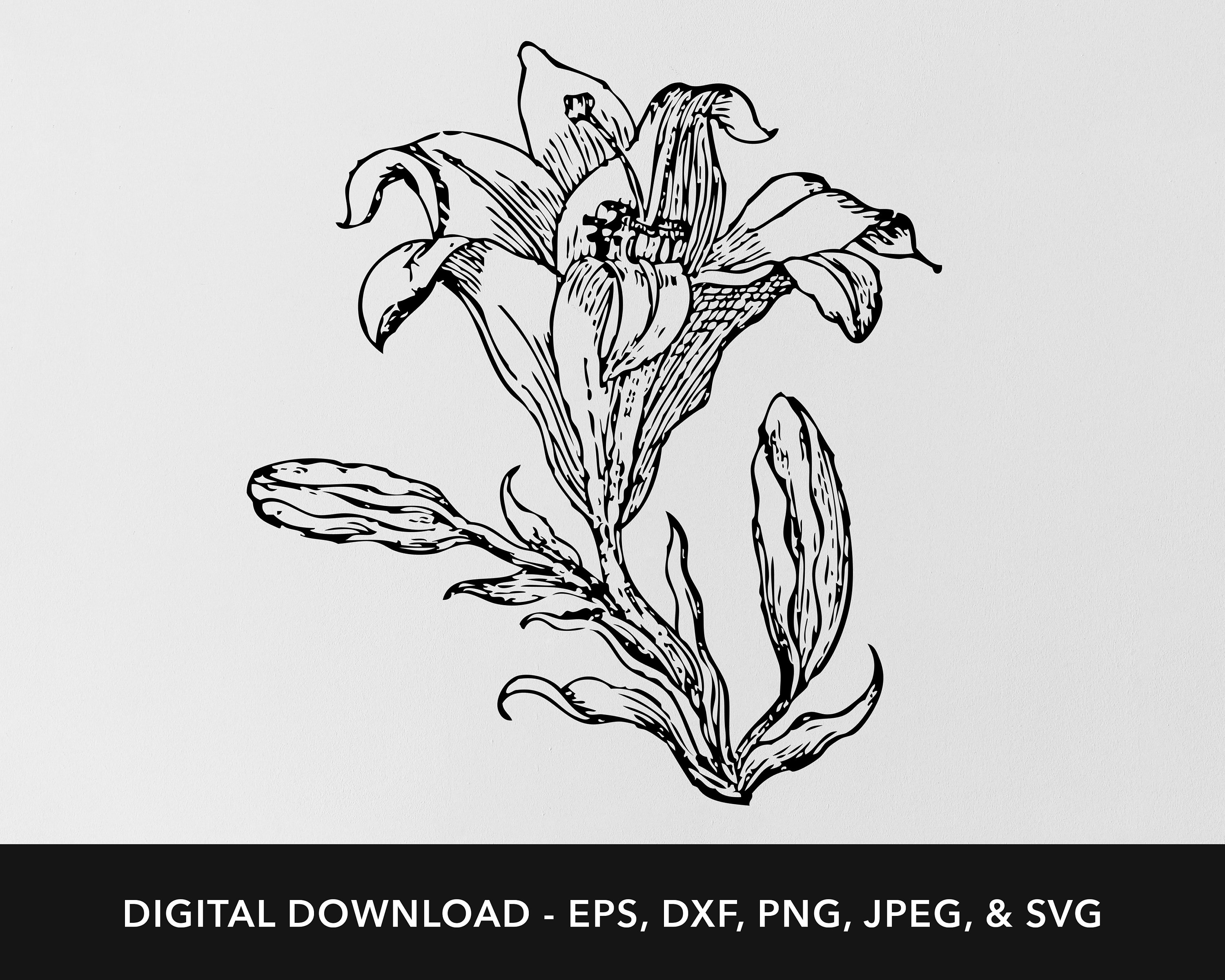 Lily Flower Bouquet Drawing