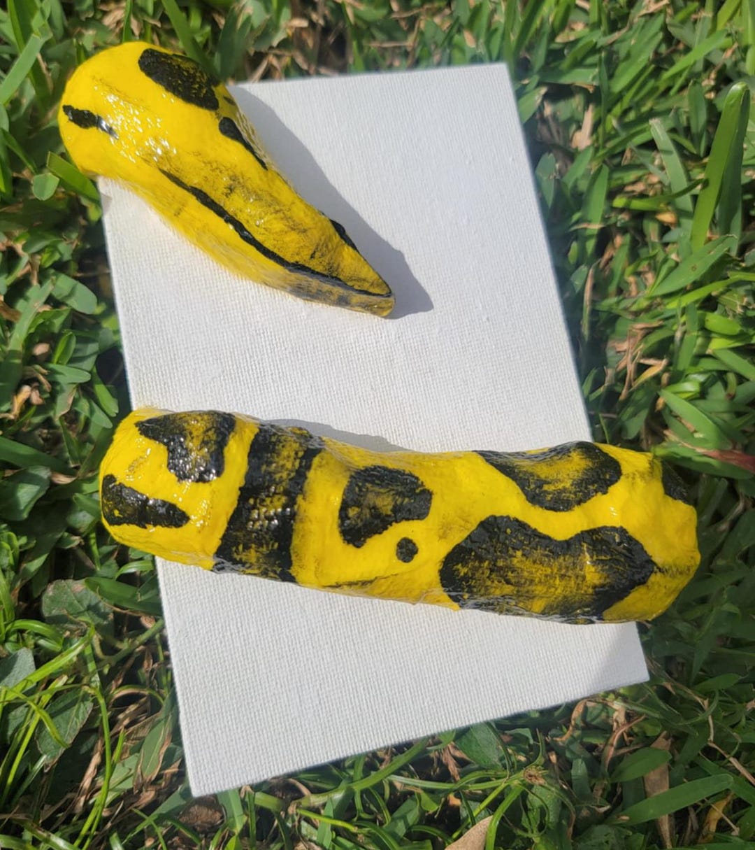 Handmade Ball Python 3D Wall Art Sculpture on Canvas - Etsy