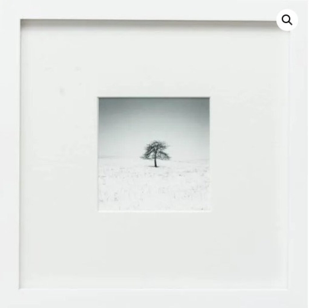 FLASH SALE! Lone Tree - 10x10 White Frame - Etsy