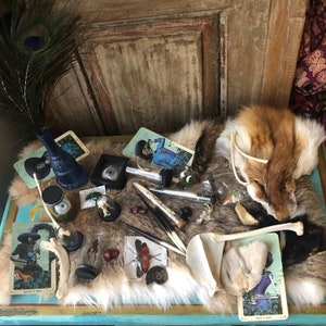 The Odd Box - Oddities, Curiosities, Trinkets & Odd Bits. Small, Medium ...