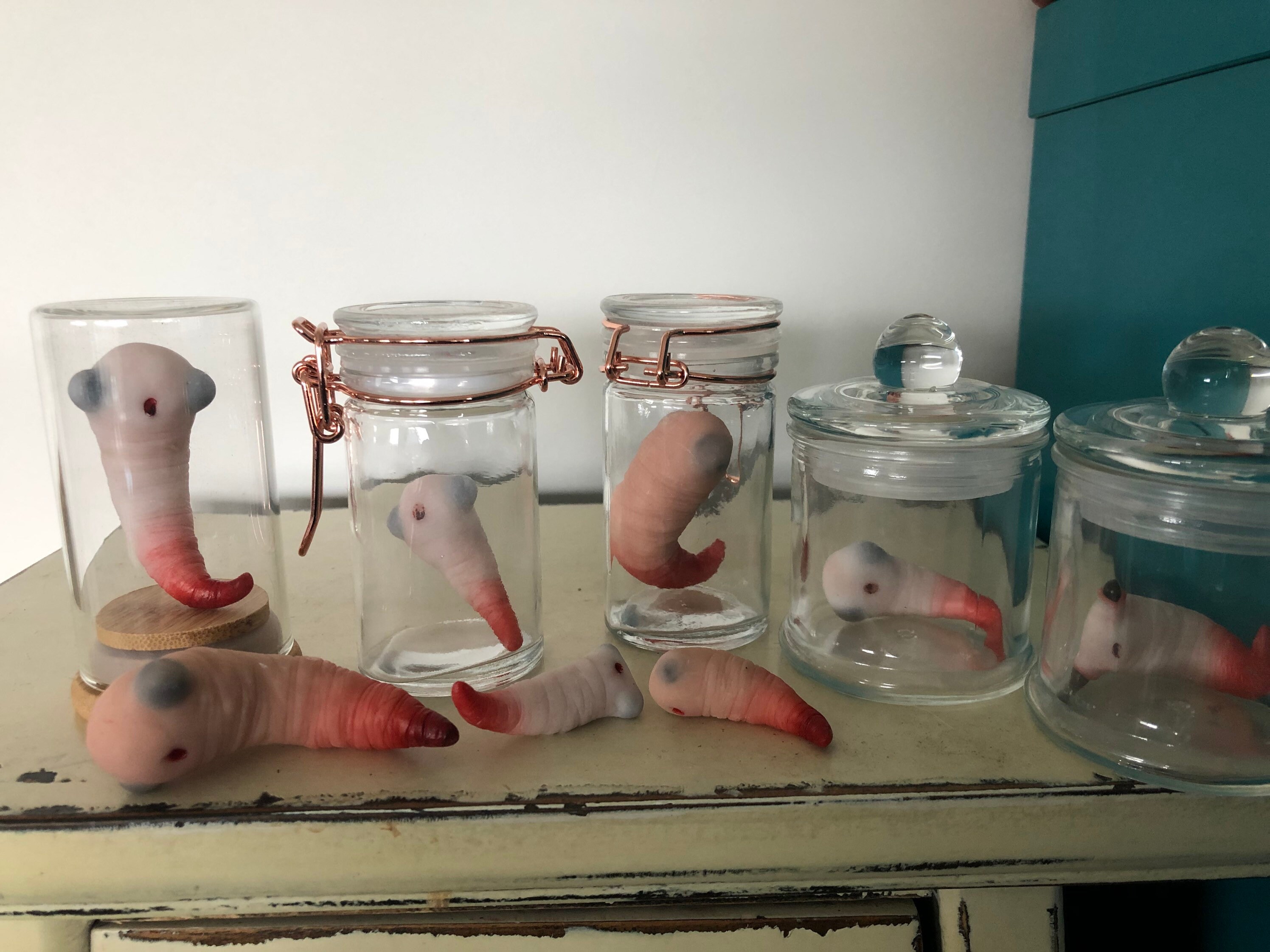 Mystery Wormling in Jar | Etsy Australia