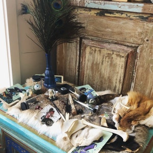 The Odd Box - Oddities, Curiosities, Trinkets & Odd Bits. Small, Medium ...