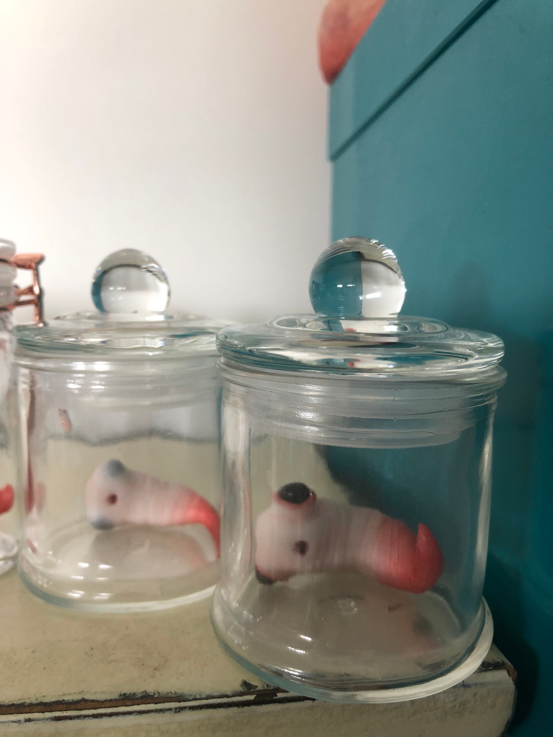 Mystery Wormling in Jar | Etsy Australia