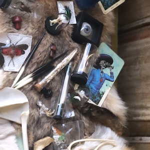 The Odd Box - Oddities, Curiosities, Trinkets & Odd Bits. Small, Medium ...