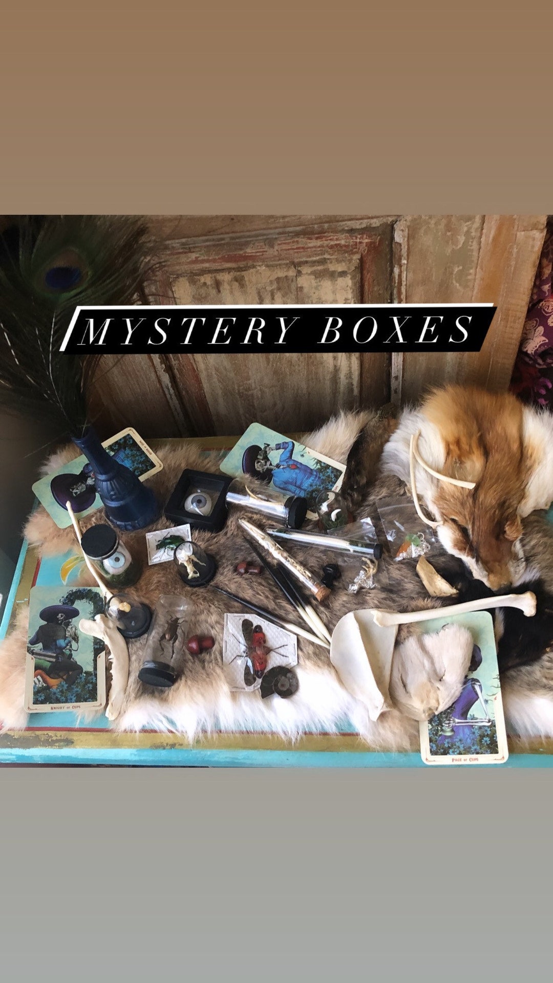 The Odd Box - Oddities, Curiosities, Trinkets & Odd Bits. Small, Medium ...