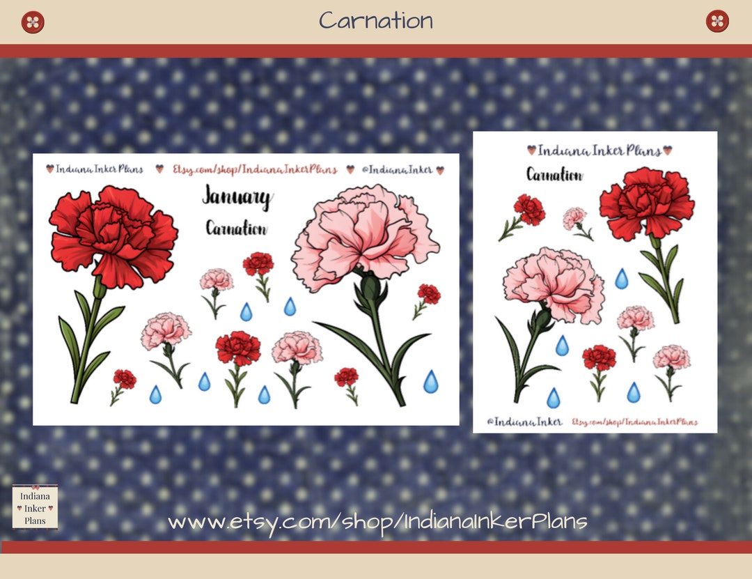 Carnation Stickers, January Flower of the Month, Florals - Etsy