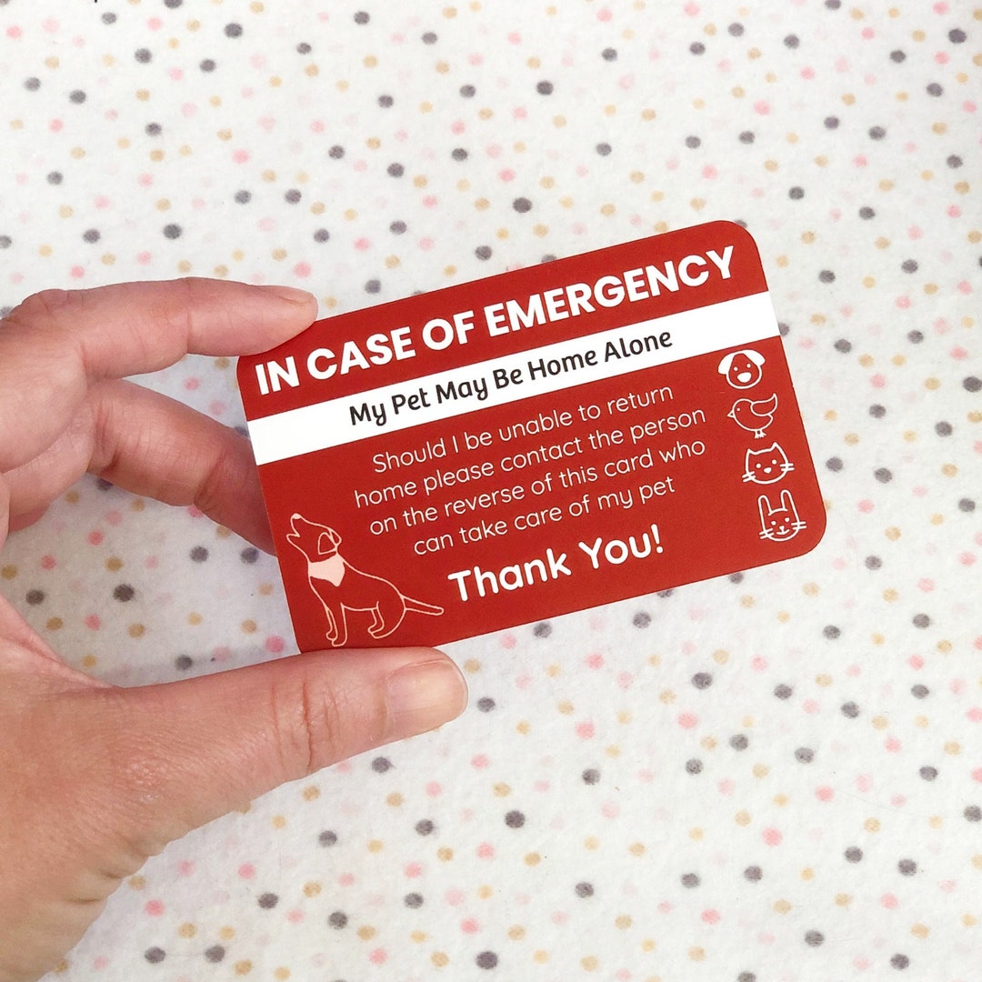 Pet Emergency Contact Card Medical Card Wallet & Purse Insert Gift for ...