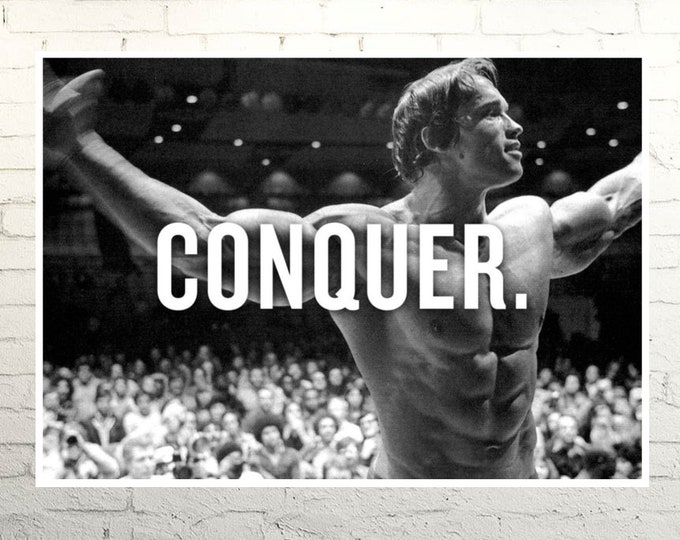 Arnold Schwarzenegger Poster Arnie Quote, Conquer, Motivational Poster ...