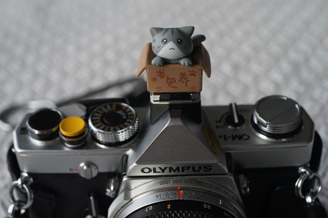 Cache griffe Flash de protection flash appareil photo - Etsy France