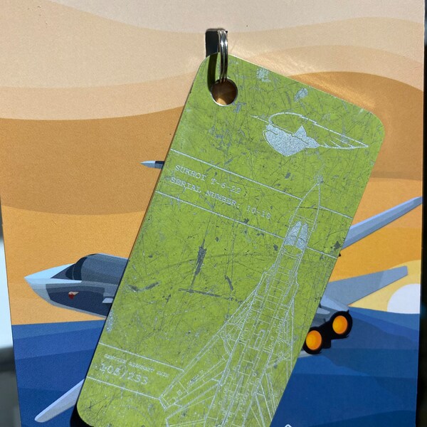 Airplane Skin Keychain - Etsy