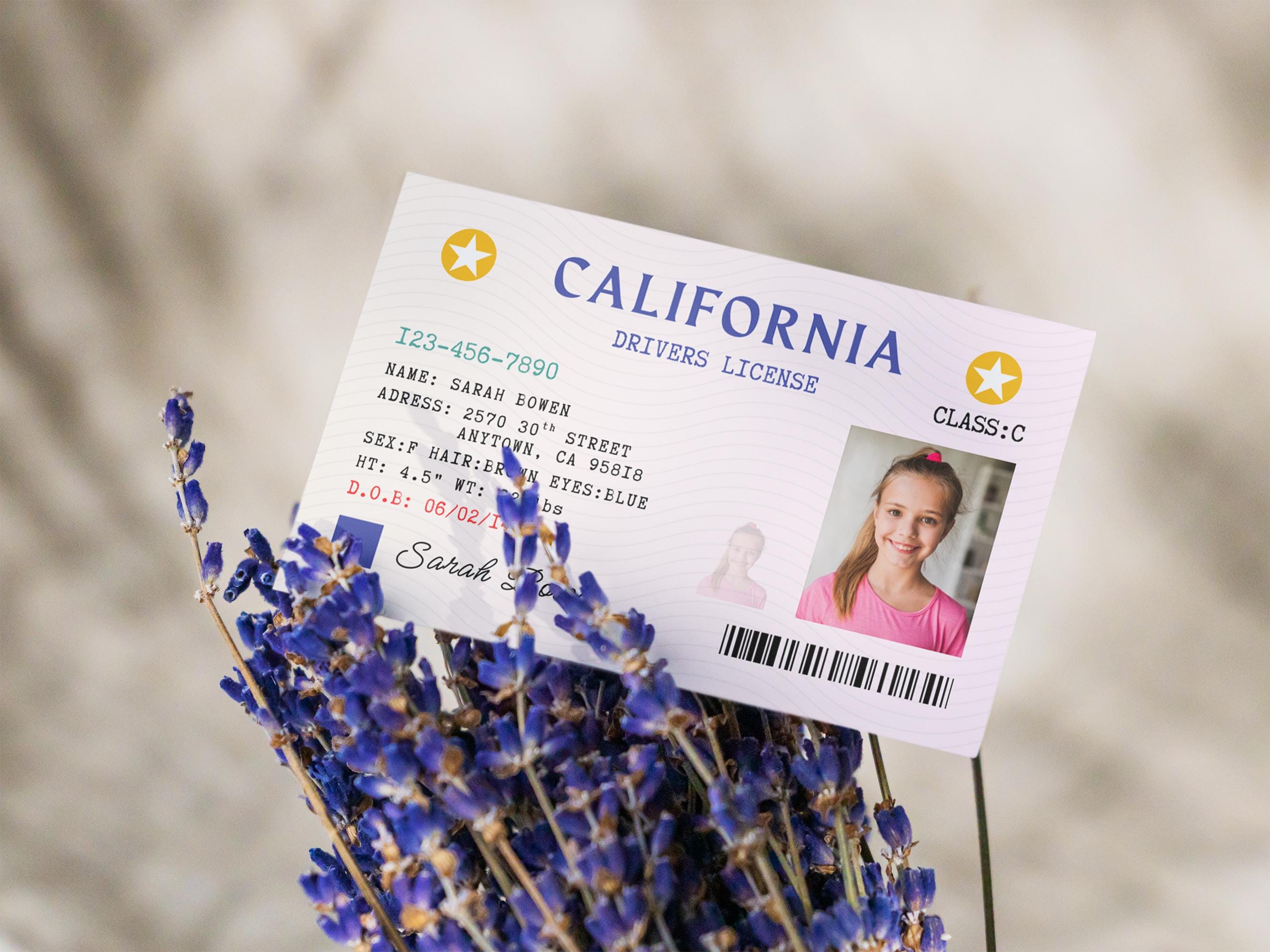 Kids Play Driver License Template: Editable Pretend ID Card (printable ...